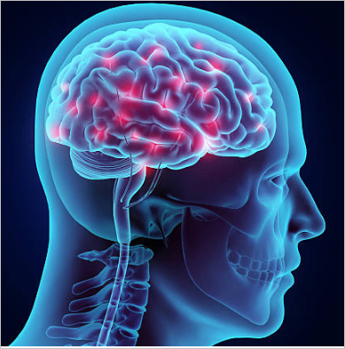 Schedule - Kiama U3A