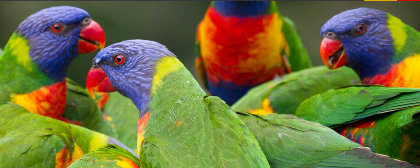 Social events – U3A Redcliffe Inc.